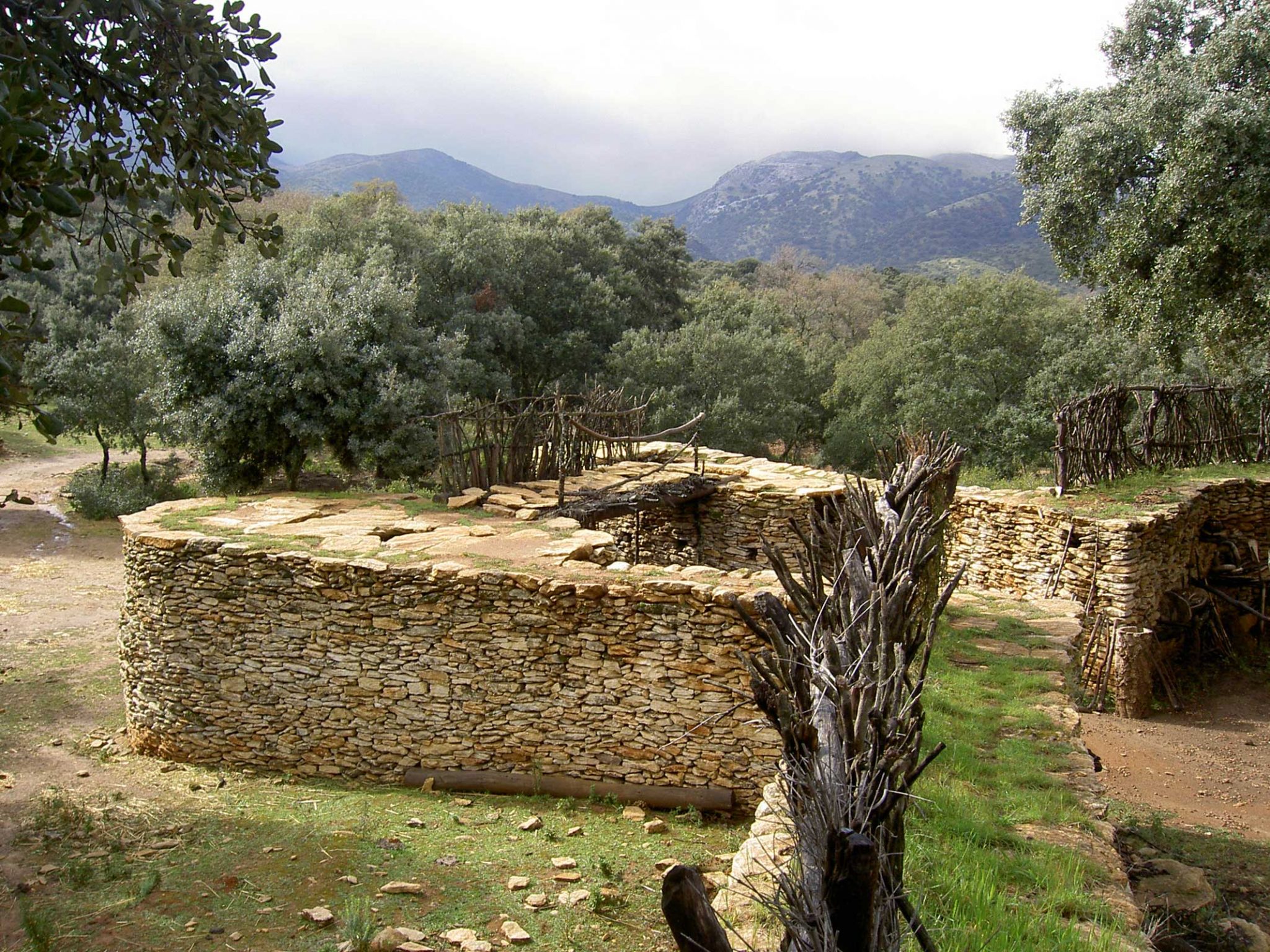 El Poblado Prehistórico de la Algaba | Algaba de Ronda